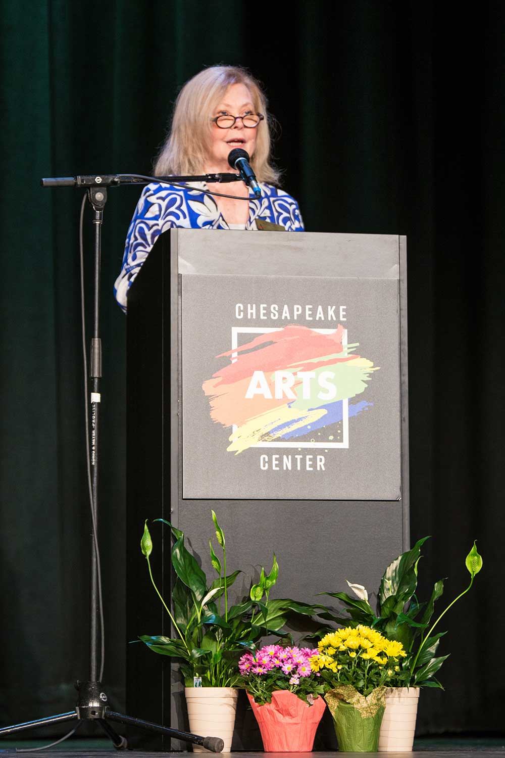 DEIA Initiatives - Arts Council of Anne Arundel County