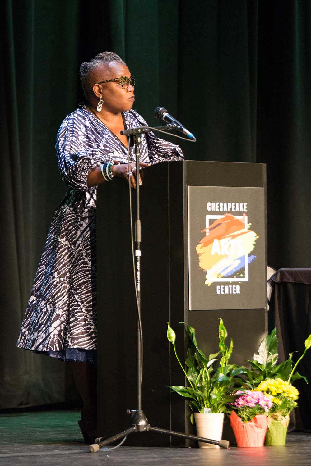 DEIA Initiatives - Arts Council of Anne Arundel County