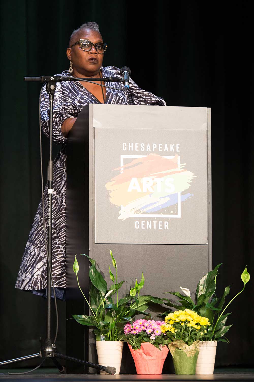 DEIA Initiatives - Arts Council of Anne Arundel County