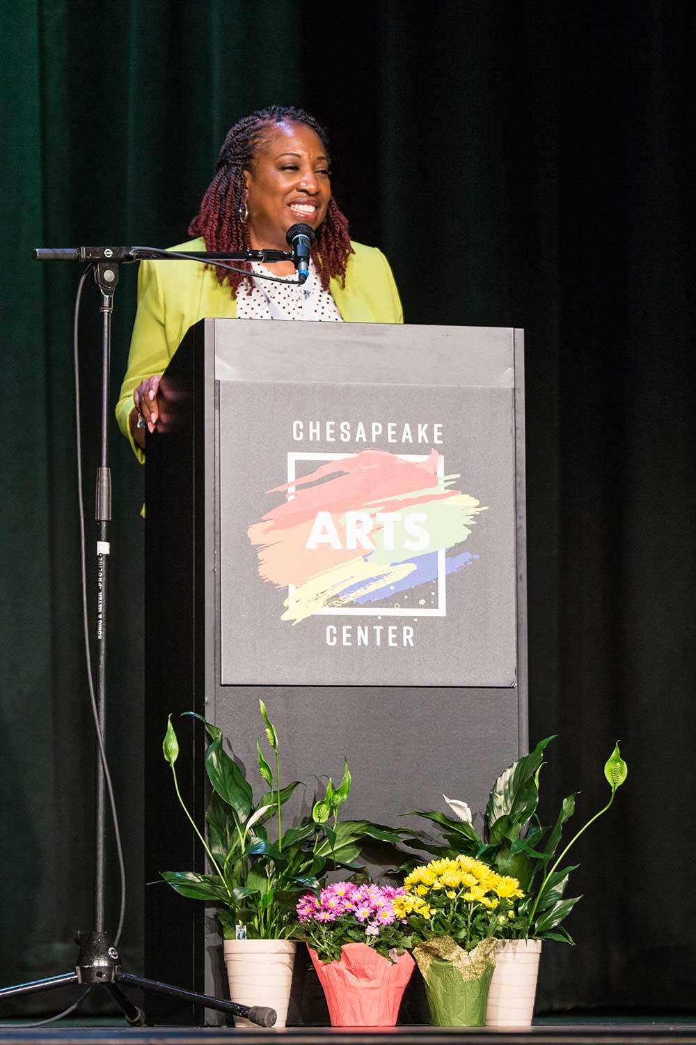 DEIA Initiatives - Arts Council of Anne Arundel County