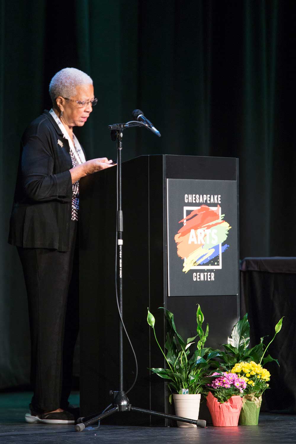 DEIA Initiatives - Arts Council of Anne Arundel County