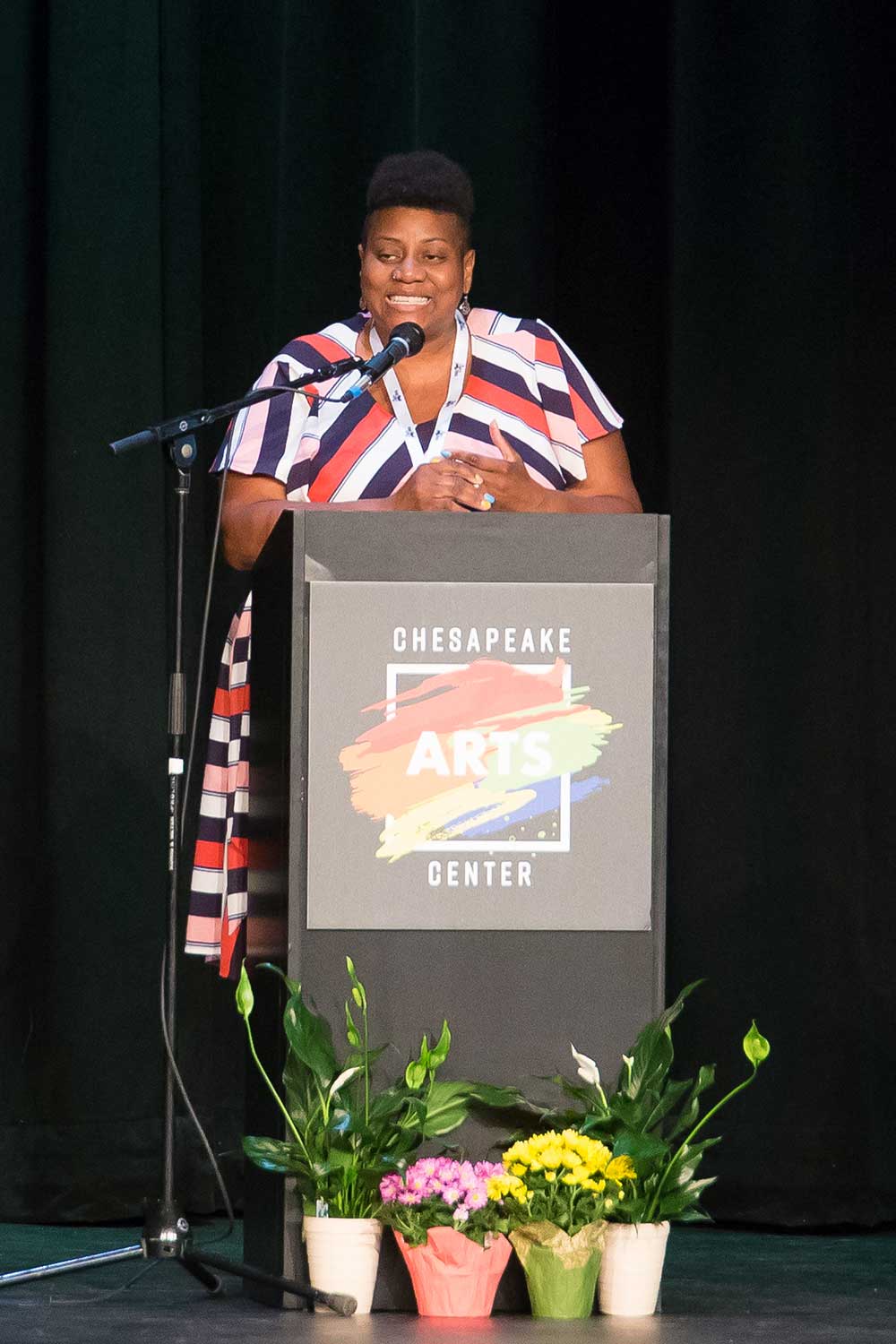 DEIA Initiatives - Arts Council of Anne Arundel County