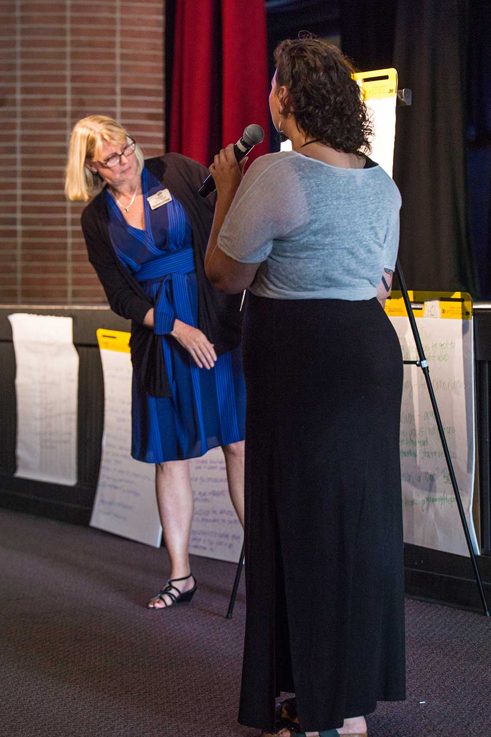 DEIA Initiatives - Arts Council of Anne Arundel County