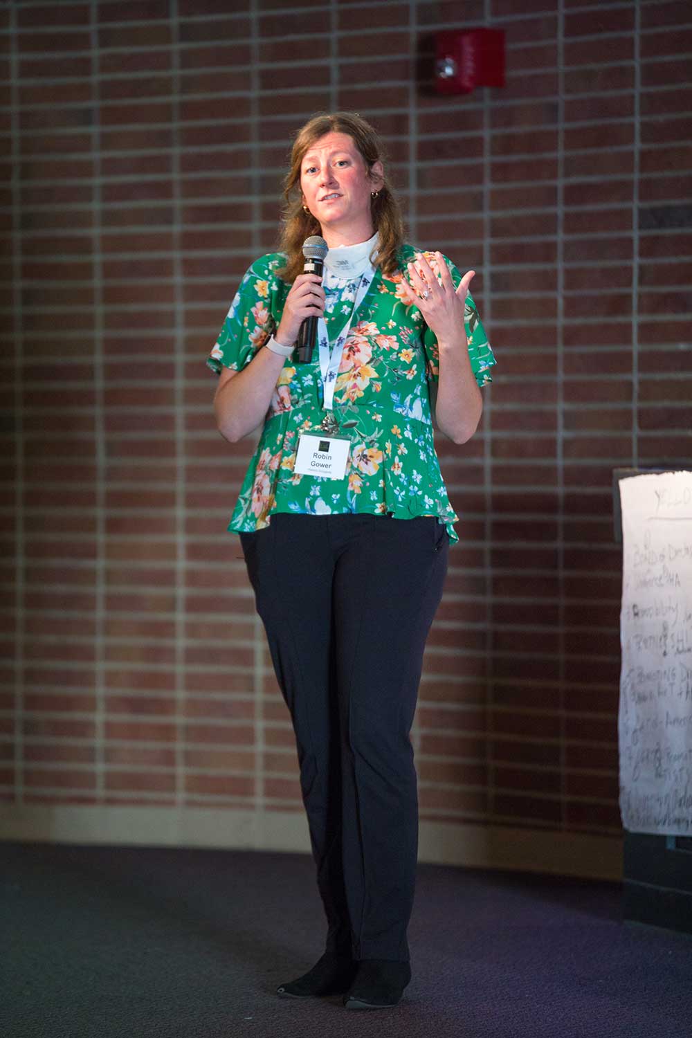 DEIA Initiatives - Arts Council of Anne Arundel County