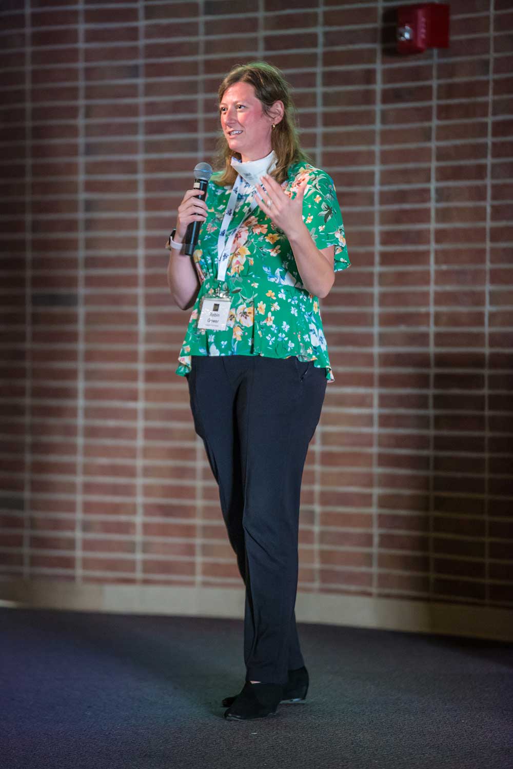 DEIA Initiatives - Arts Council of Anne Arundel County