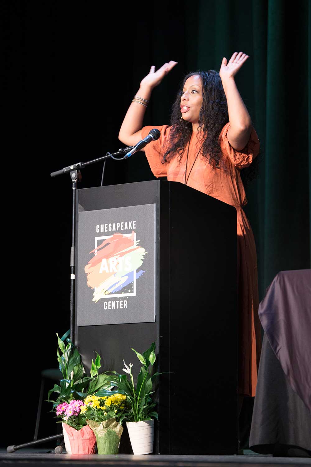 DEIA Initiatives - Arts Council of Anne Arundel County