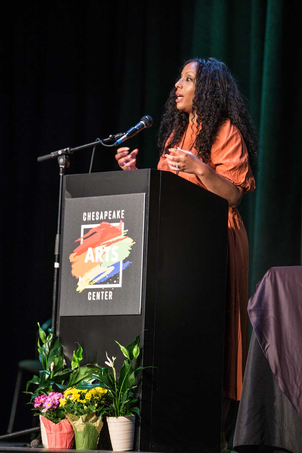 DEIA Initiatives - Arts Council of Anne Arundel County